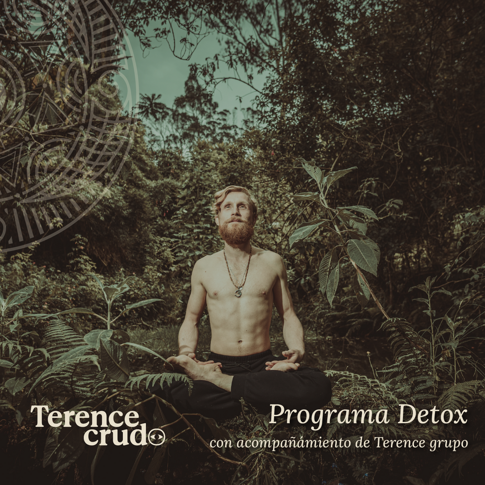 Programa Detox Con Acompañamiento De Terence – Terence Crudo